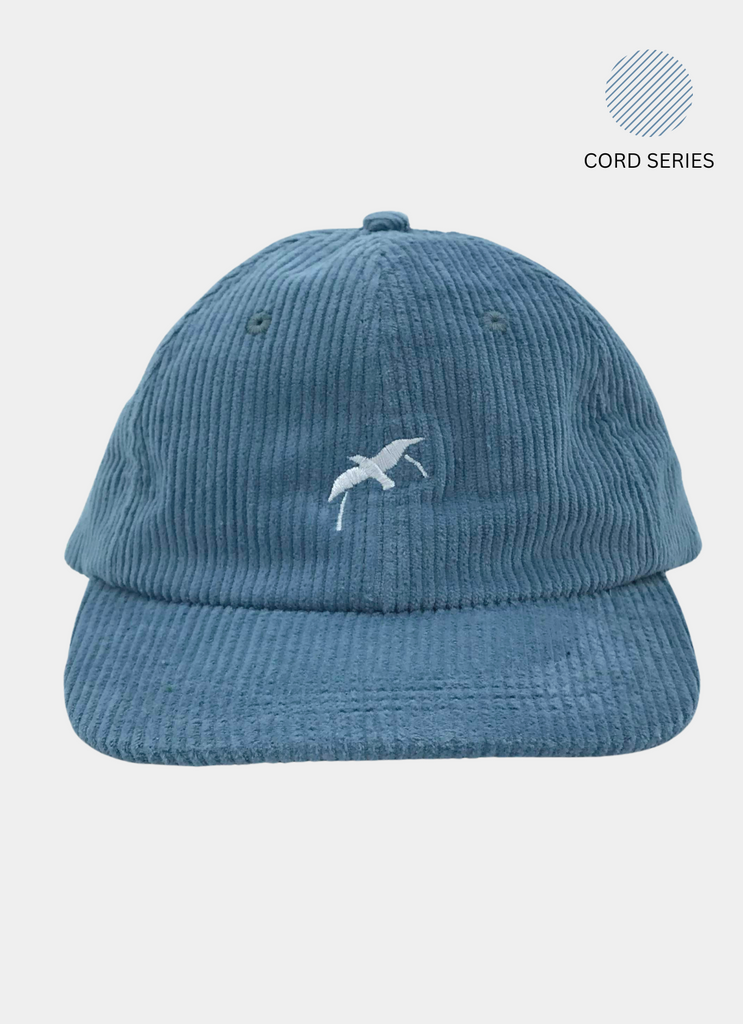 Signature Blue Lagoon 6 Panel – BIRD & HILL.